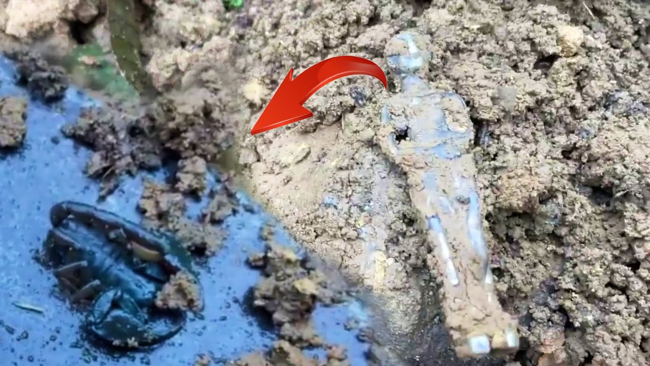 Tılsımlı Define Bulma Anı Akrep Elimizin Altında Ortaya Çıktı ...