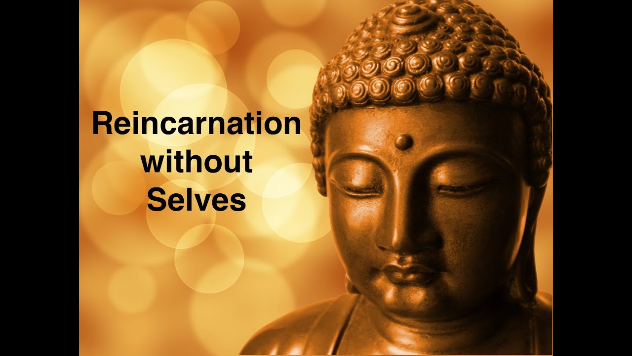Buddhism on No-Self, Reincarnation, and Language - YouTube