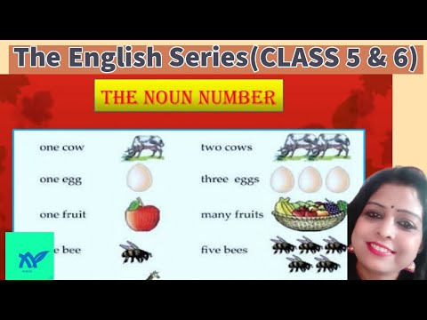NOUN|NUMBERS|Singular Vs Plural| How to frame??All Rules| English ...