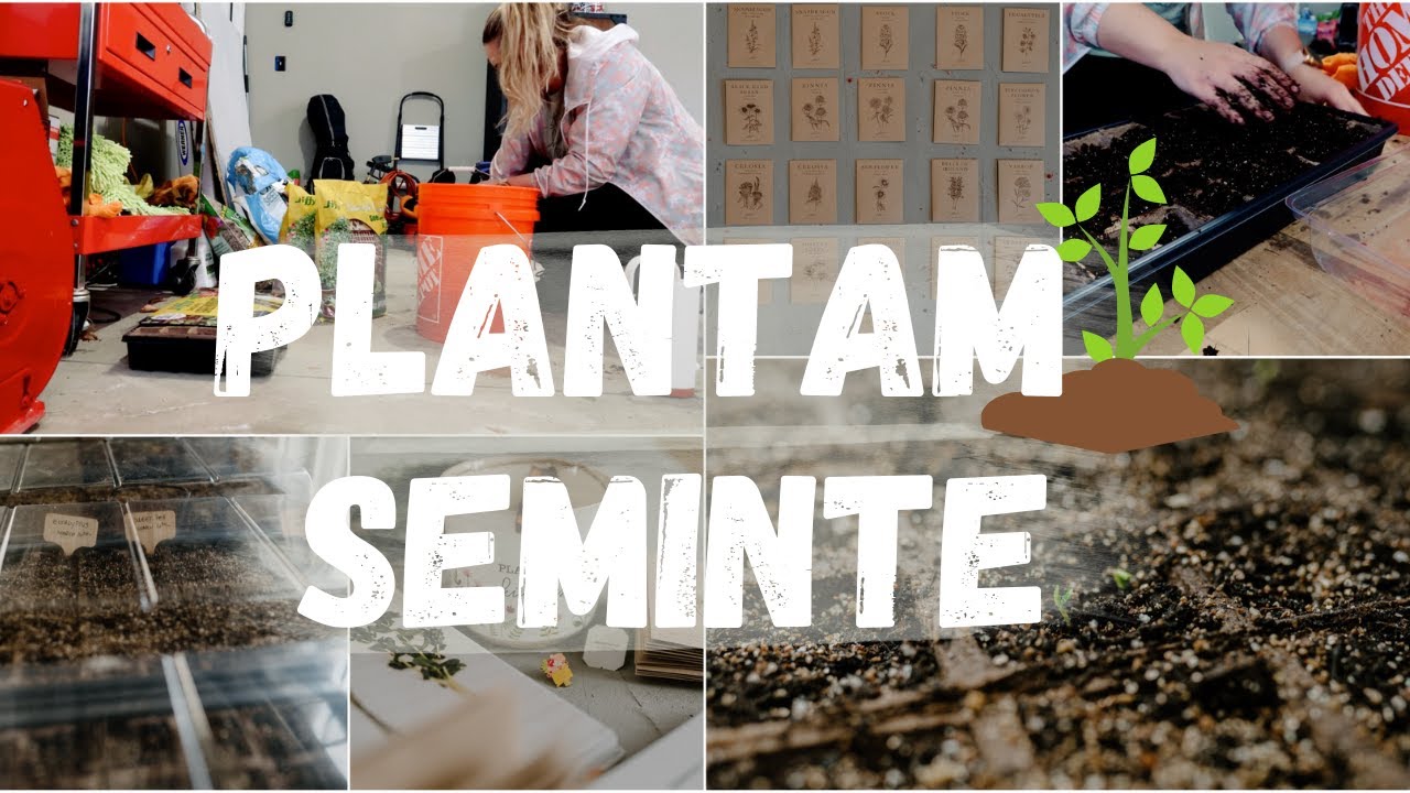 Plantam seminte pentru gradina cu flori 🌱 - YouTube