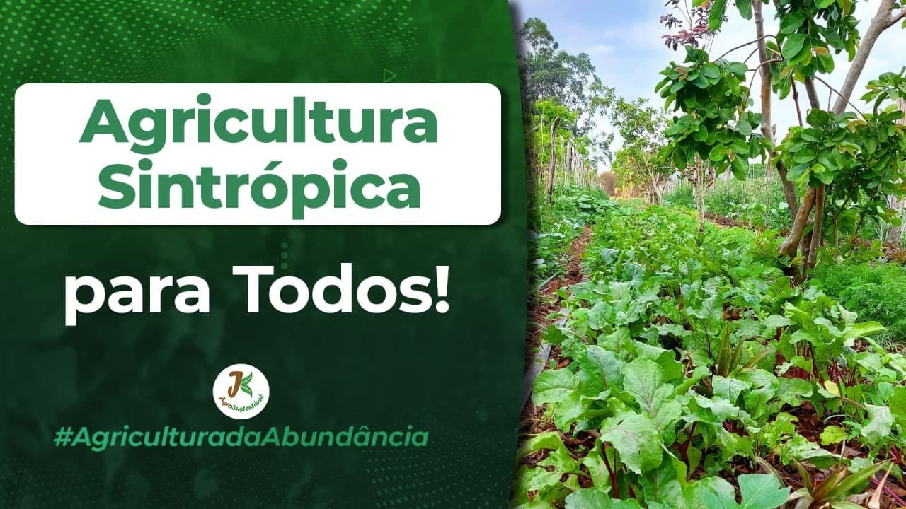 Agricultura Sintrópica para todos - YouTube