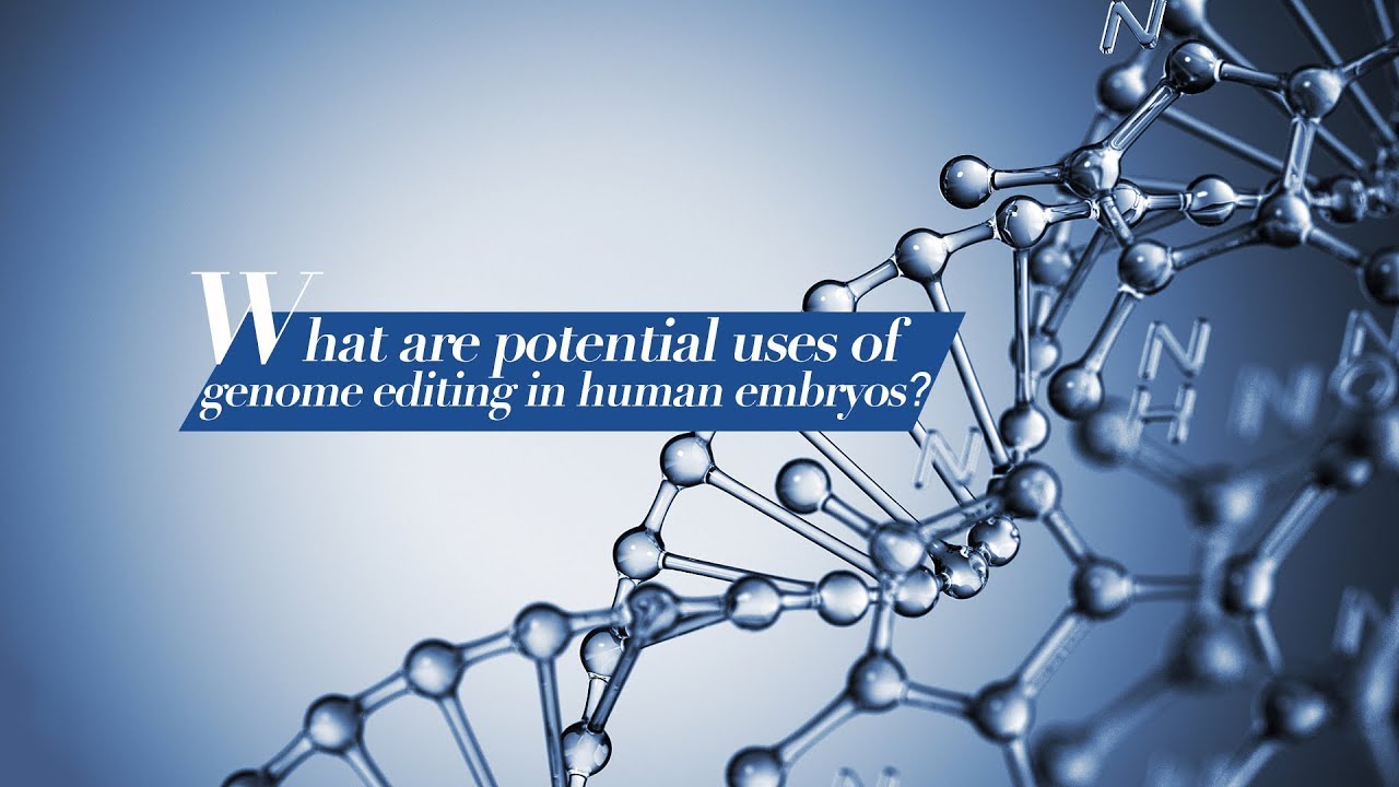 Live: What are potential uses of genome editing in human embryos? 基因编辑在 ...