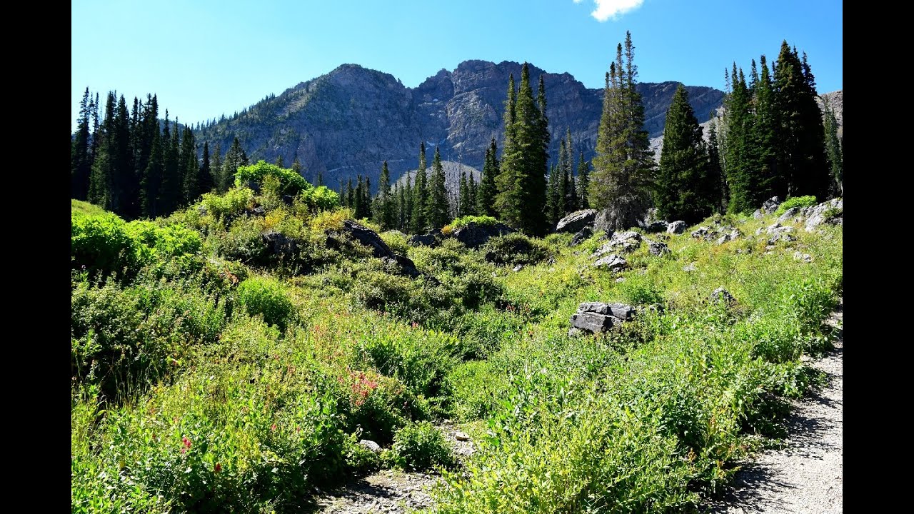 Cecret Lake Hike Alta Utah (Watch in 1080p) - YouTube