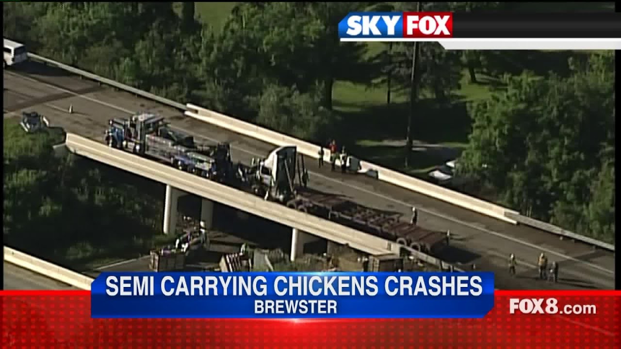 Semi carrying chickens crashes - YouTube