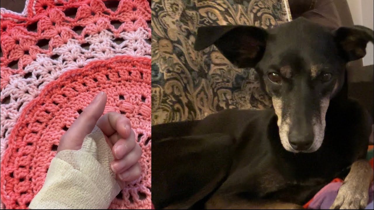 Update…dealing with a couple of rough weeks - YouTube