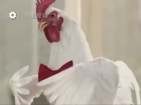 Komik ve kısa videolar