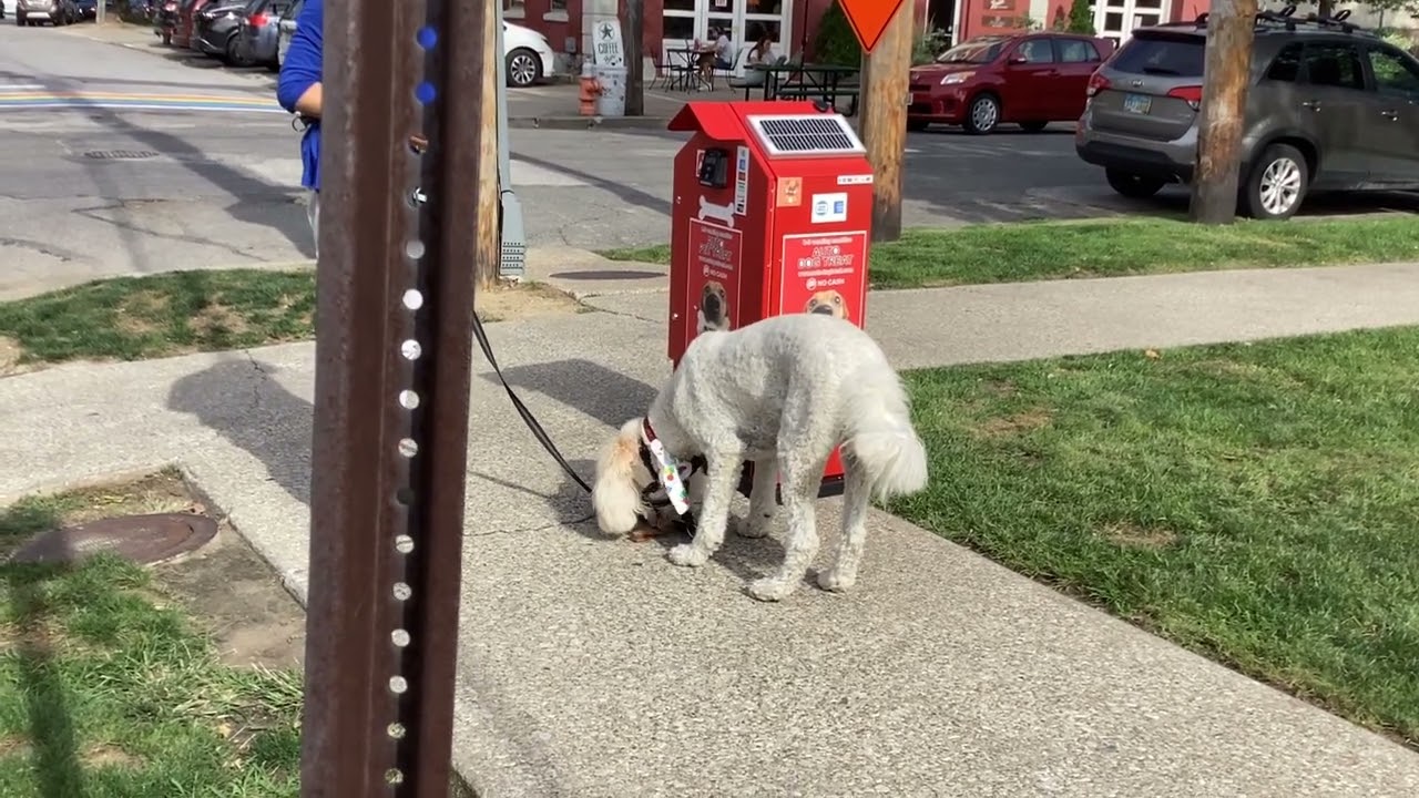 Dog Vending Machine by Auto Pet Treats II - YouTube