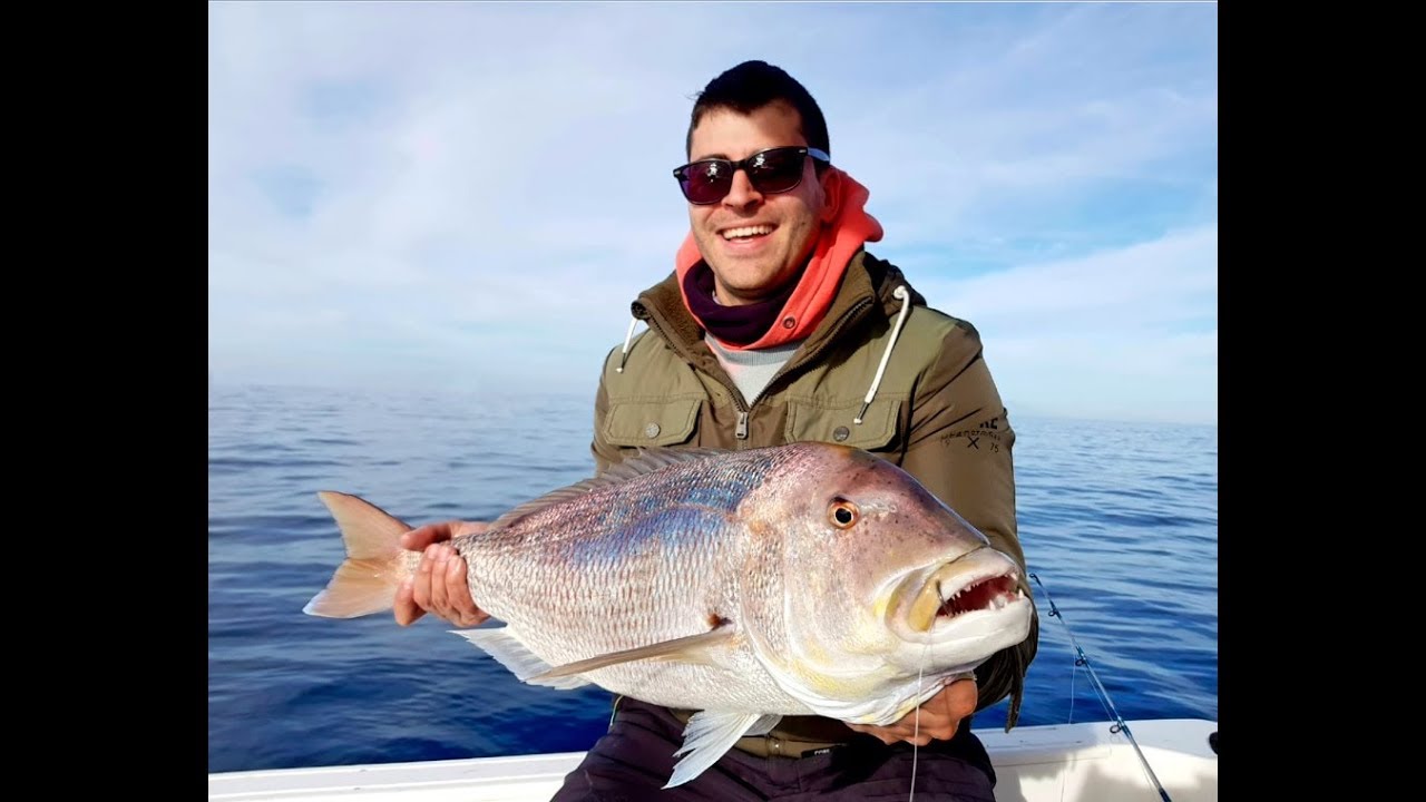 Pesca de Dentones Diciembre 2019 - Dentex Fishing - YouTube