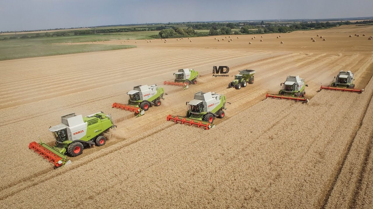XL Claas Harvest | 6x Claas Lexion | Sarl Rousseau - YouTube