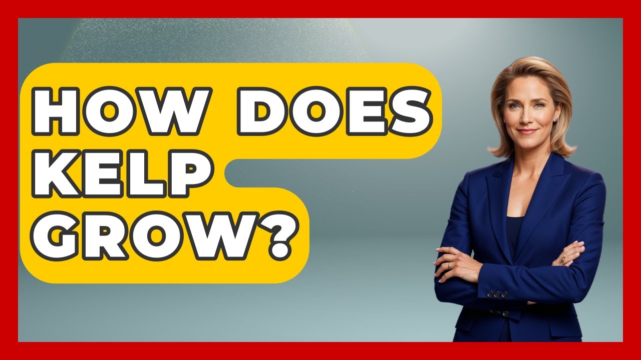 How Does Kelp Grow? - The Marine Life Explorer - YouTube