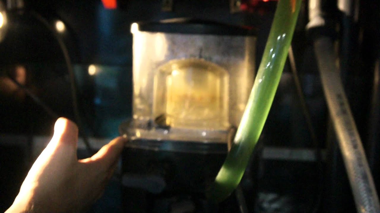 Red Sea Max S 500 T5 Coral Reef System Demo live with MarineGeek.com ...