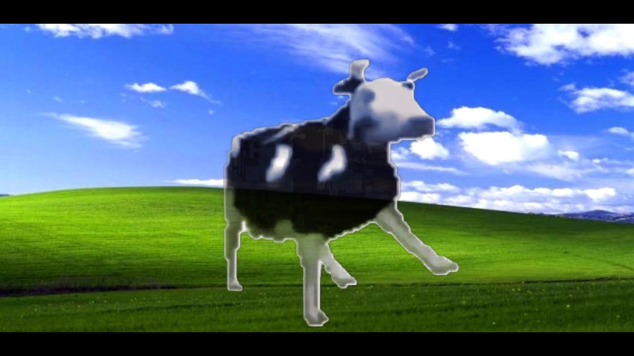polish_cow_on_windows_xp_wallpaper.mp4 - YouTube