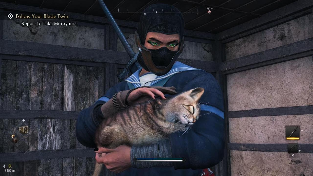 Rise of the Ronin noge cat location part 2 - YouTube