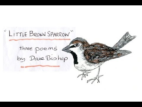 Little Brown Sparrow - Three Poems by Dave Bishop - YouTube