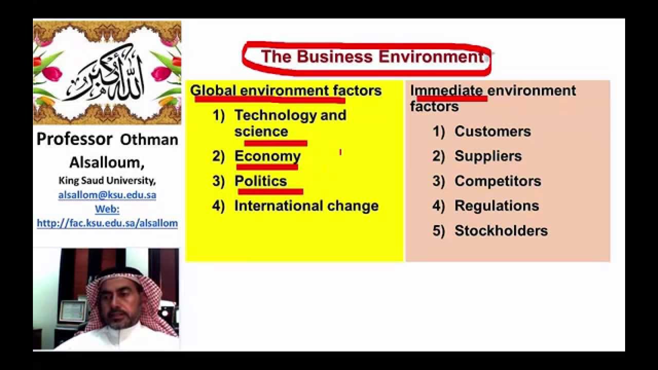 What are the global and immediate business environment factors? - YouTube