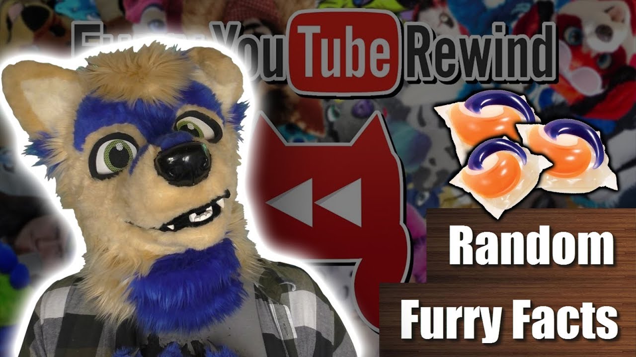 Ich bin im FURRY YOUTUBE REWIND | Furries und TIDE PODS | RFF #11 - YouTube