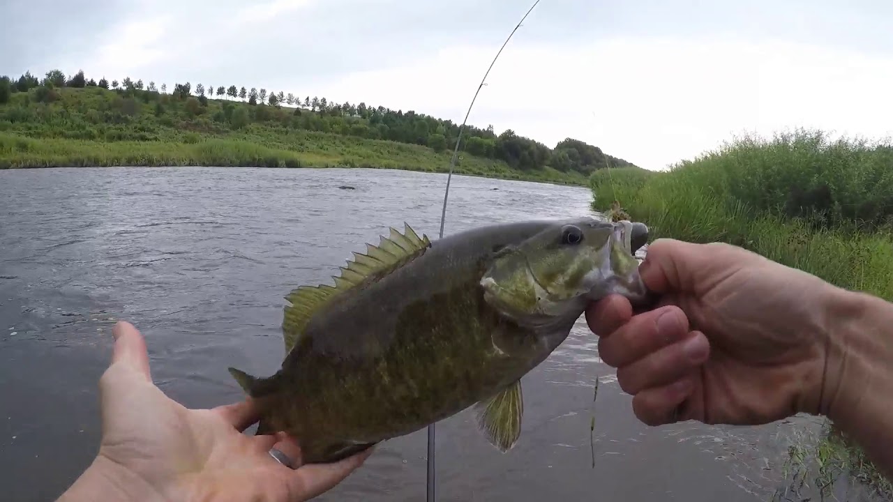 Smallmouth fishing 2nd Weekend, Achigant Petite Bouche 2ieme FDS a ...