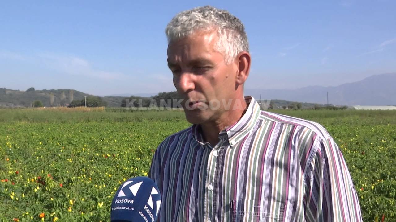 “Zgjeba e Specit” demton fermeret - 29.09.2016 - Klan Kosova - YouTube