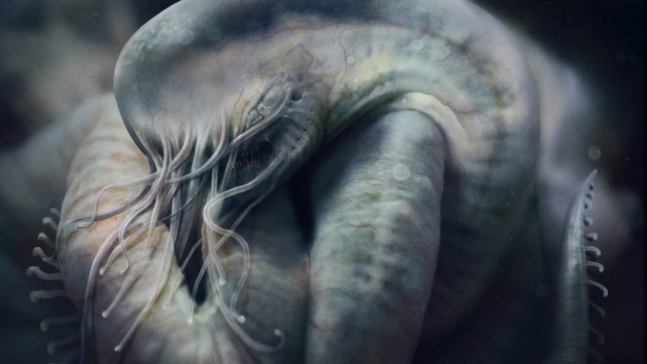 Wiki Aliens : L'Infection de Planète 4 - YouTube