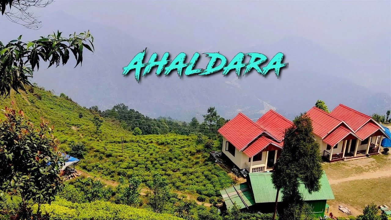 Ahaldara tour || Triveni || Teesta valley tea garden || Ahaldara view ...