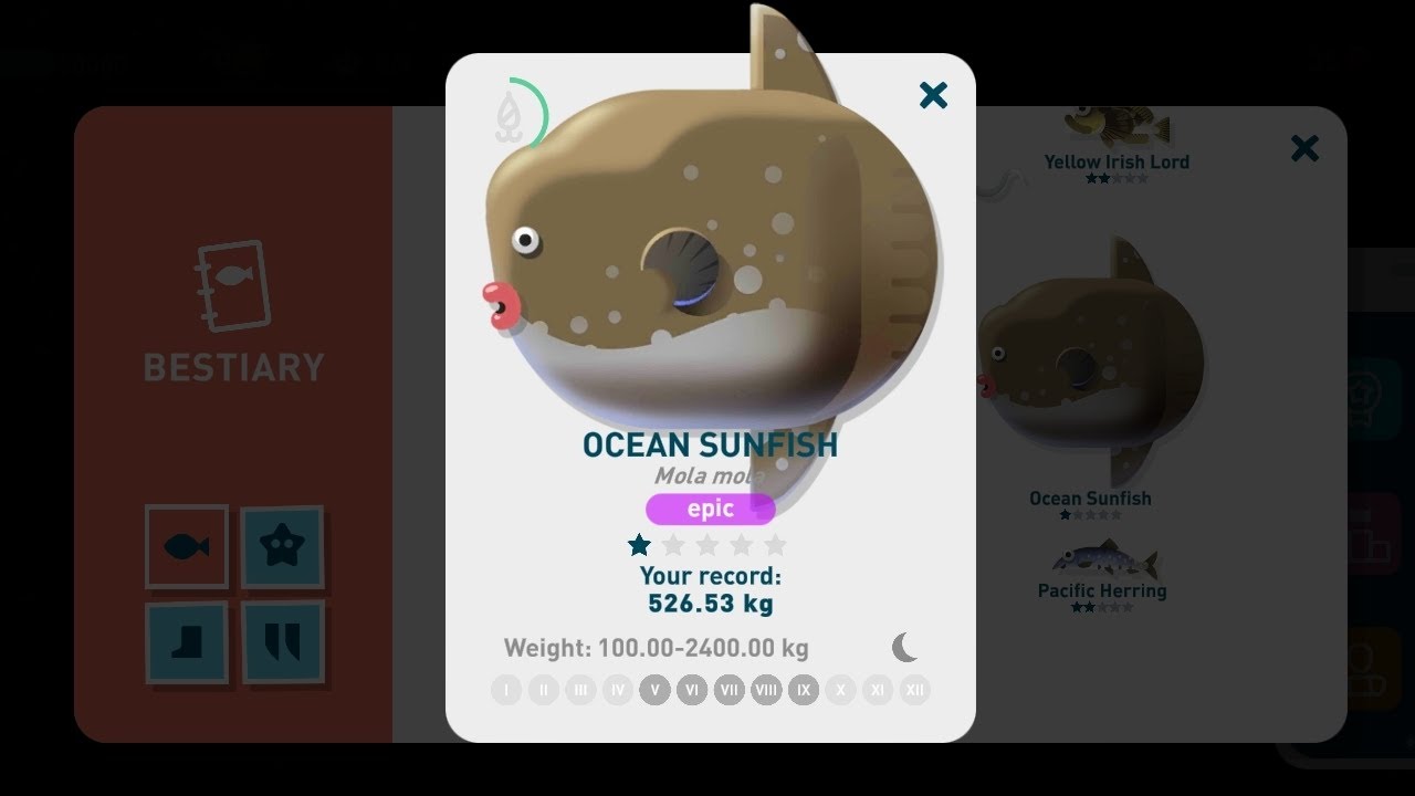Creatures of the Deep - Ocean Sunfish - Location วิธีตก Ocean Sunfish ...