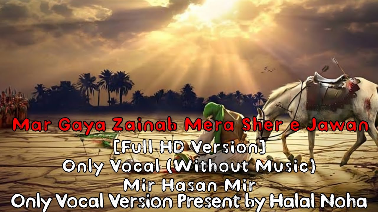 Mar Gaya Zainab Mera Sher e Jawan | 2024 | New Noha | Only Vocal ...