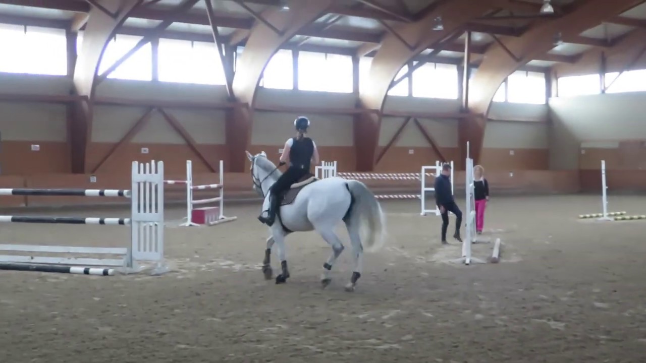 Lady Parco a Dani - YouTube