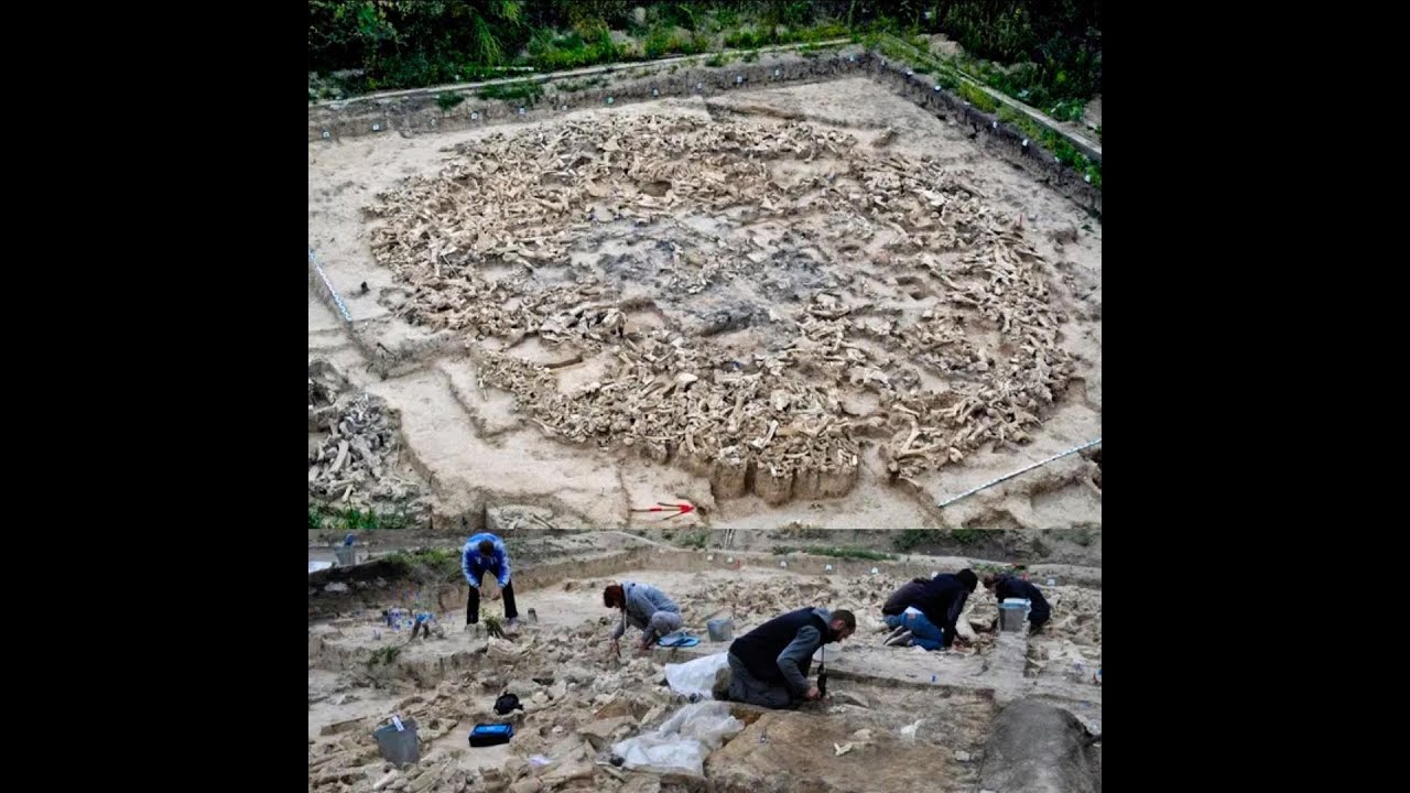 CIRCLE FROM MAMMOTH BONES: SECRETS OF ANCIENT EURASIAN HUNTERS - YouTube