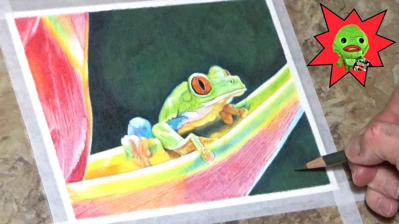 Tree Frog (Time Lapse Colored Pencil Sketch) - YouTube