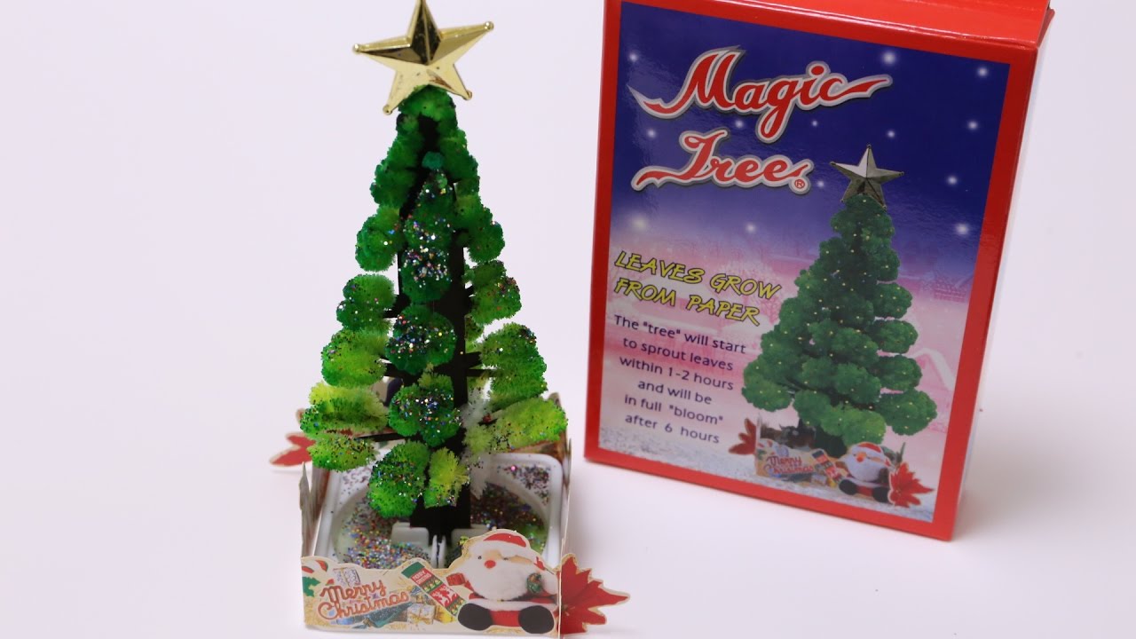 Magic Tree Making Kit - YouTube