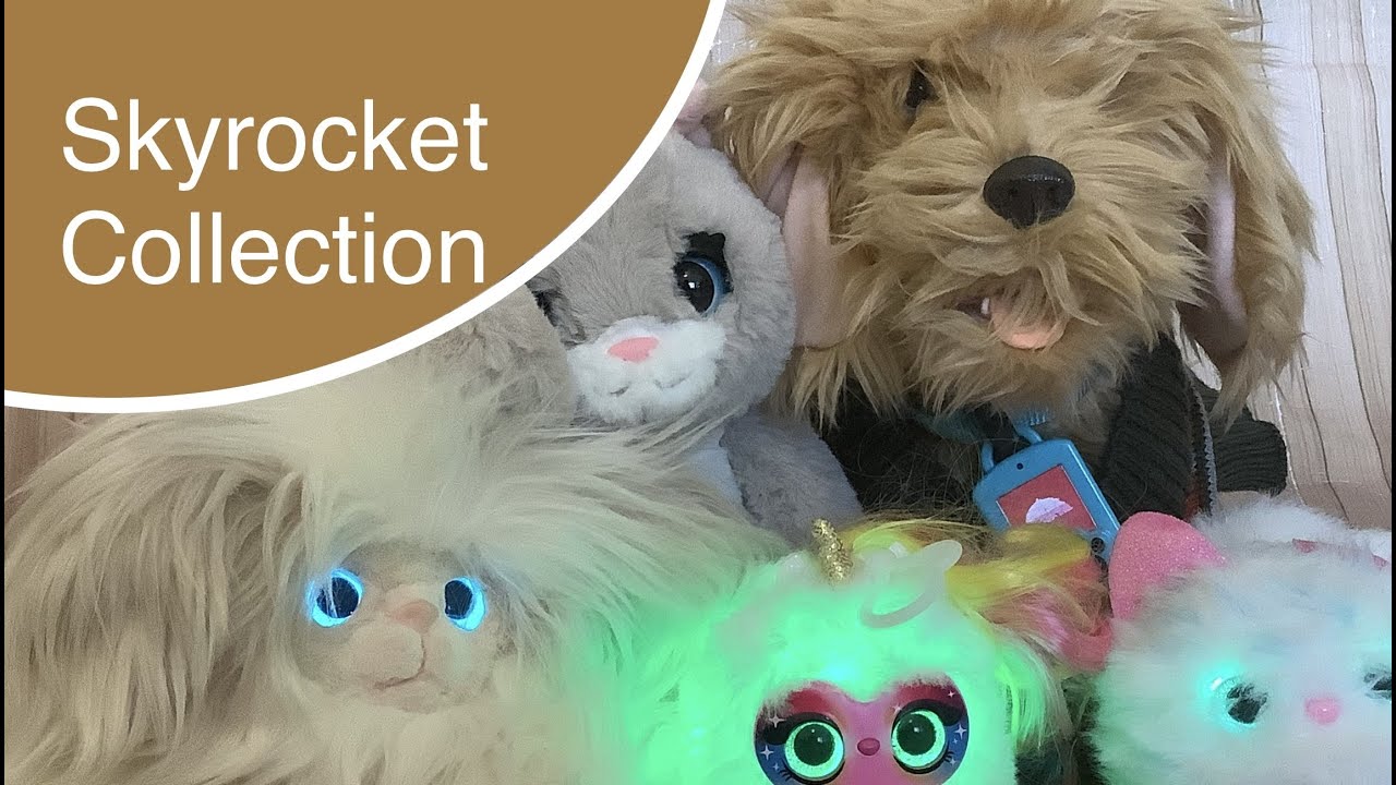 My Skyrocket Toys Collection: Moji the Lovable Labradoodle, Winks my ...