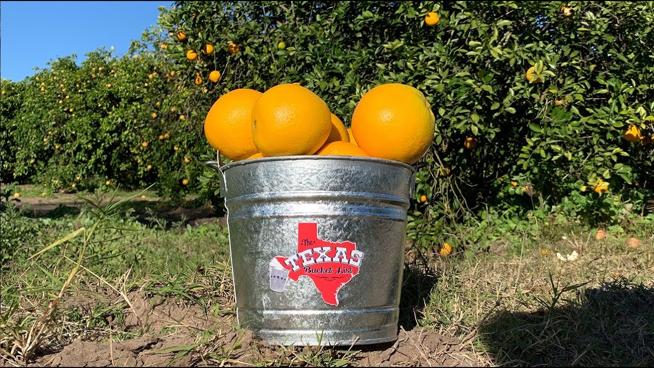 The Texas Bucket List - Granny Clare's Citrus in Harlingen - YouTube