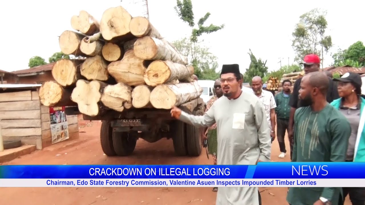 Chairman, Edo State Forestry Commission, Valentine Asuen Inspects ...