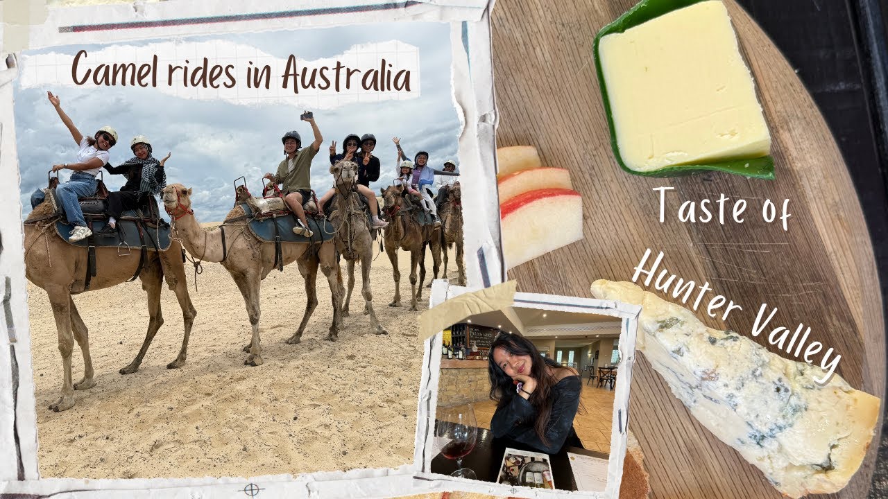 Camel rides in Australia ជិះអូដ្ឋនៅអូស្ត្រាលី | Explore Newcastle - YouTube