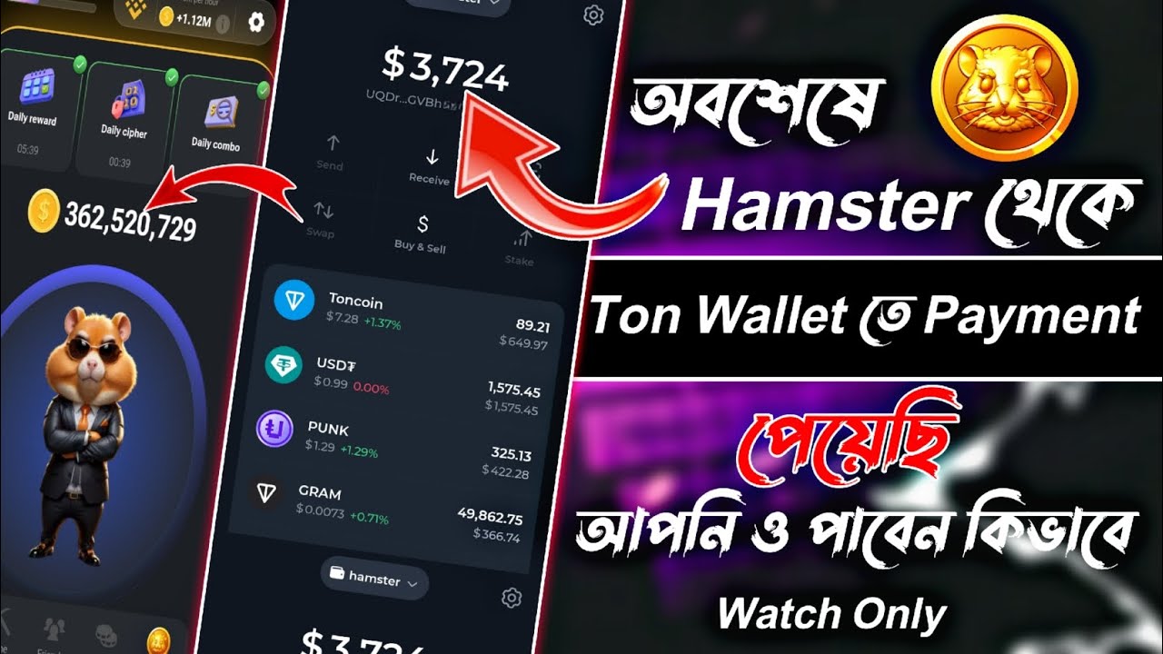 Hamster Kombat Payment by Ton Wallet || Hamster Kombat Watch Only ...