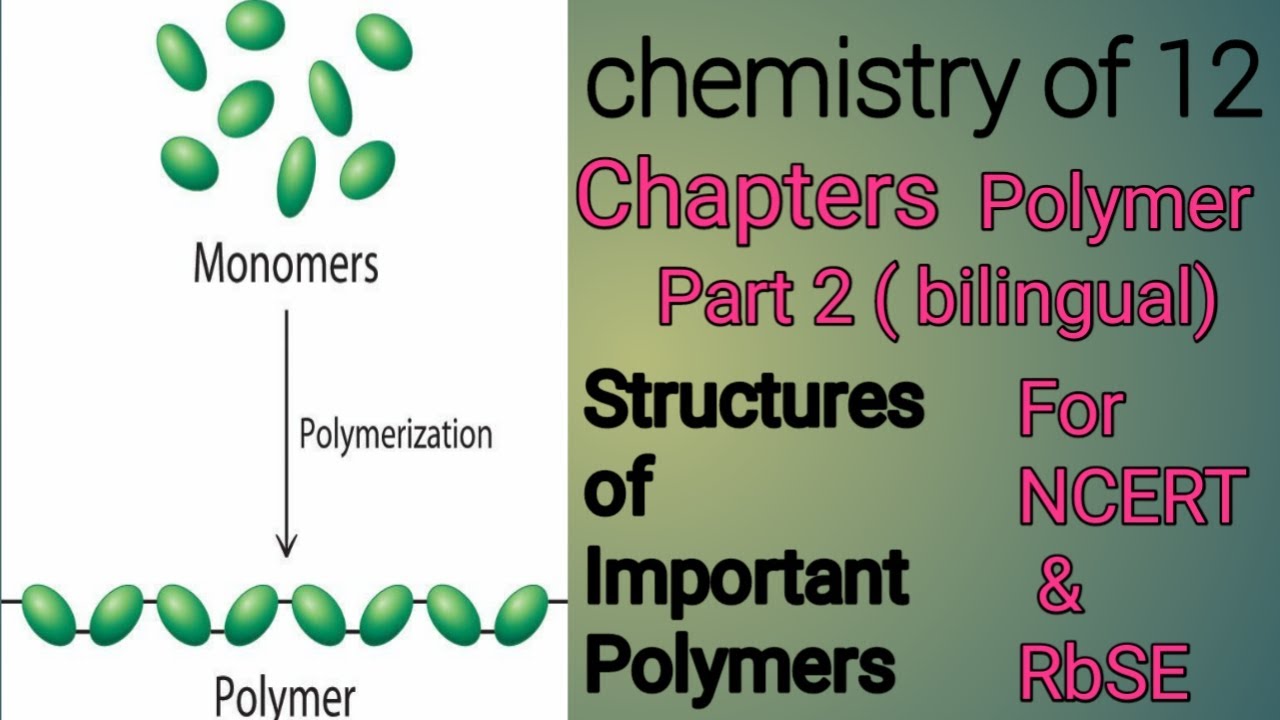 polymer class 12 chemistry #NCERT & #RBSE Bilingual explanation - YouTube