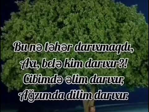 Ramiz Rövşən Darıxır