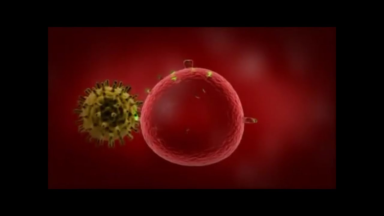 How T-Cells Work - YouTube