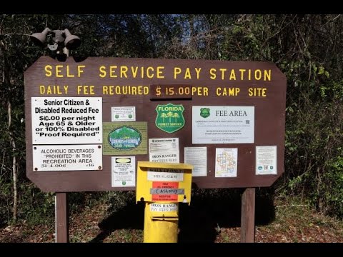 River Junction Campground (Croom Wildlife Management Area) - YouTube