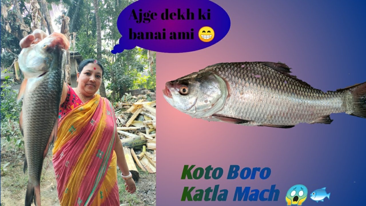 Eto Boro Katla Mach 😱|| Katla Mach recipe 😋|| - YouTube