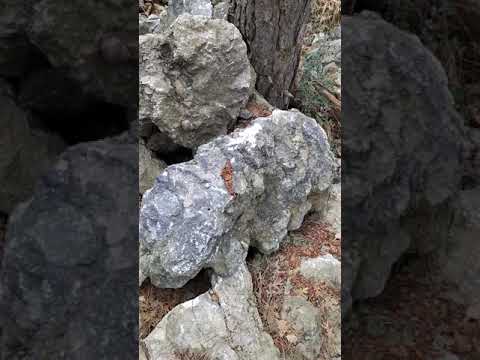 Define işaretleri. Kazılmış DEFİNE YERLERİ. SAKARYA