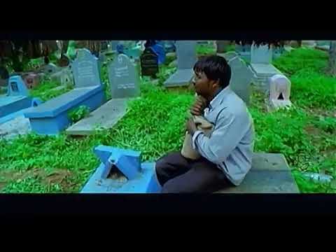 E papi janara alu duniya