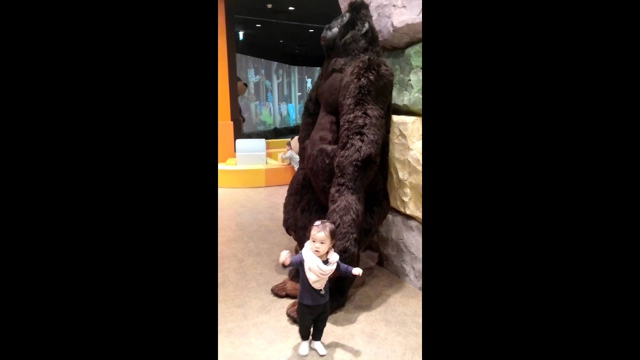 Gorilla- thump my chest - YouTube