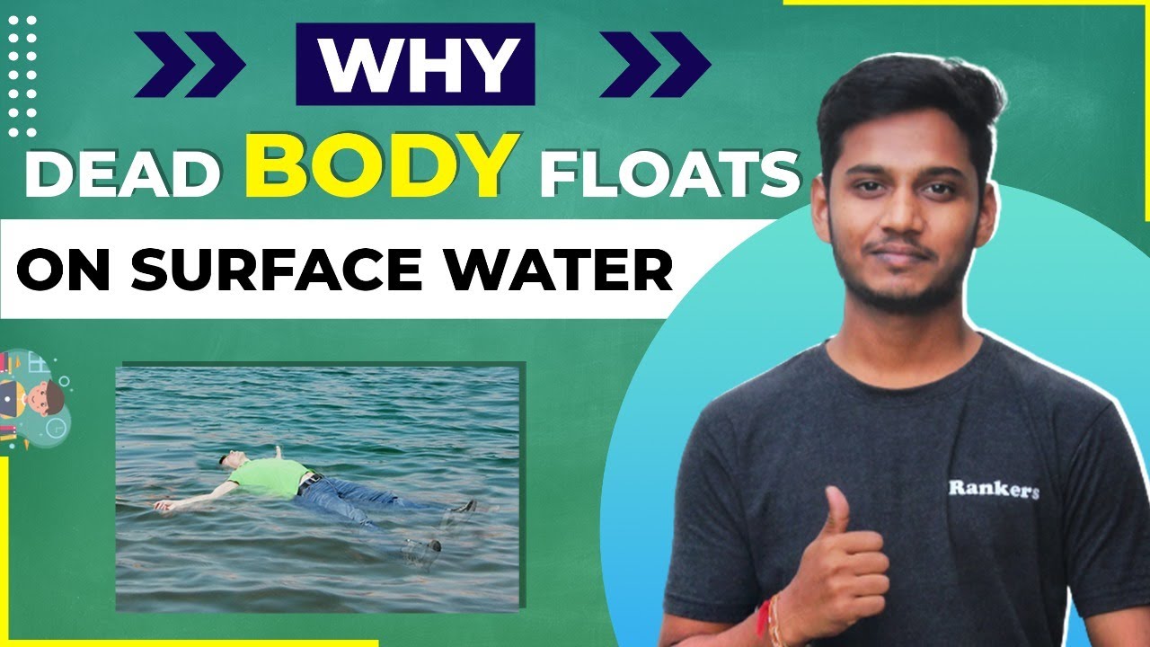Why Dead body Floats on Surface of Water ? | Curiosity Video - YouTube