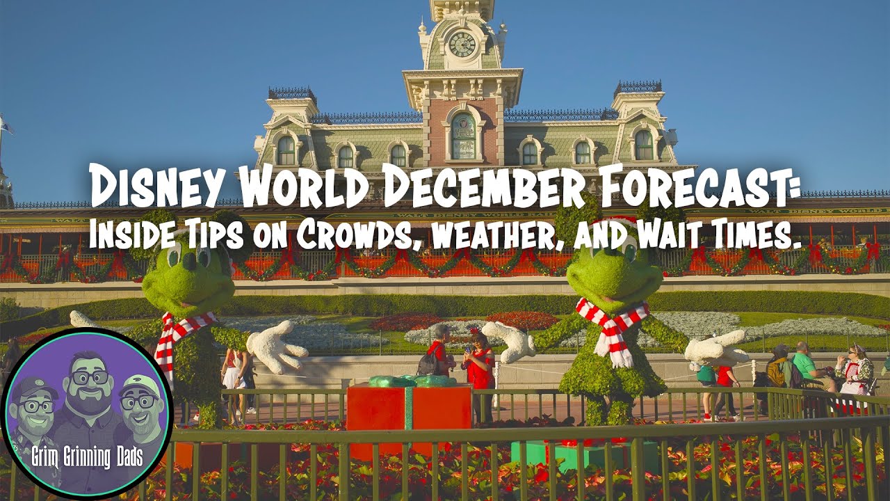 Disney World December Crowds & Wait Times — 2025 Reality Check - YouTube