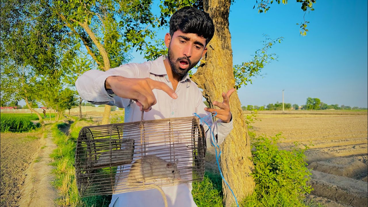 Chuhaa 🐀 Hamary hatho sei Niakl gya | Camery k samny Choha bagh gya ...