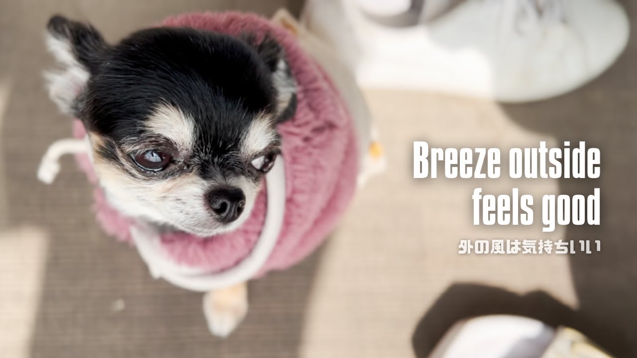 Breeze outside feels good - Nene - YouTube