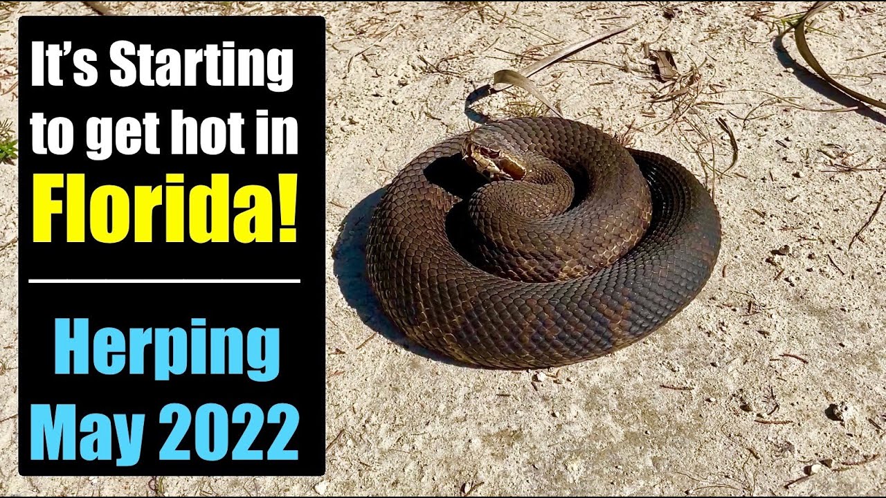 It's starting to get Hot in Florida! - YouTube