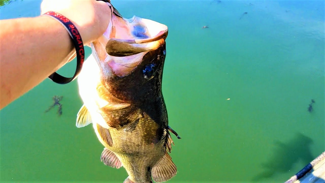 Huge Fish Breaks Rod!! - YouTube