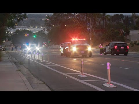 USD student dies after being hit by San Diego Police vehicle